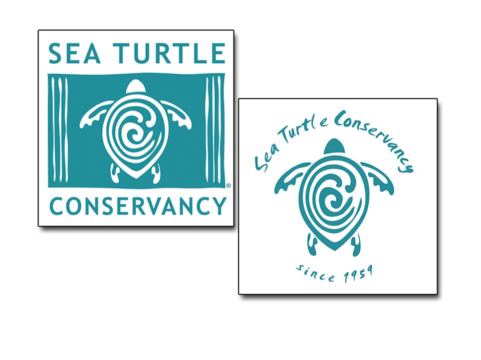 sea turtle conservancy logo