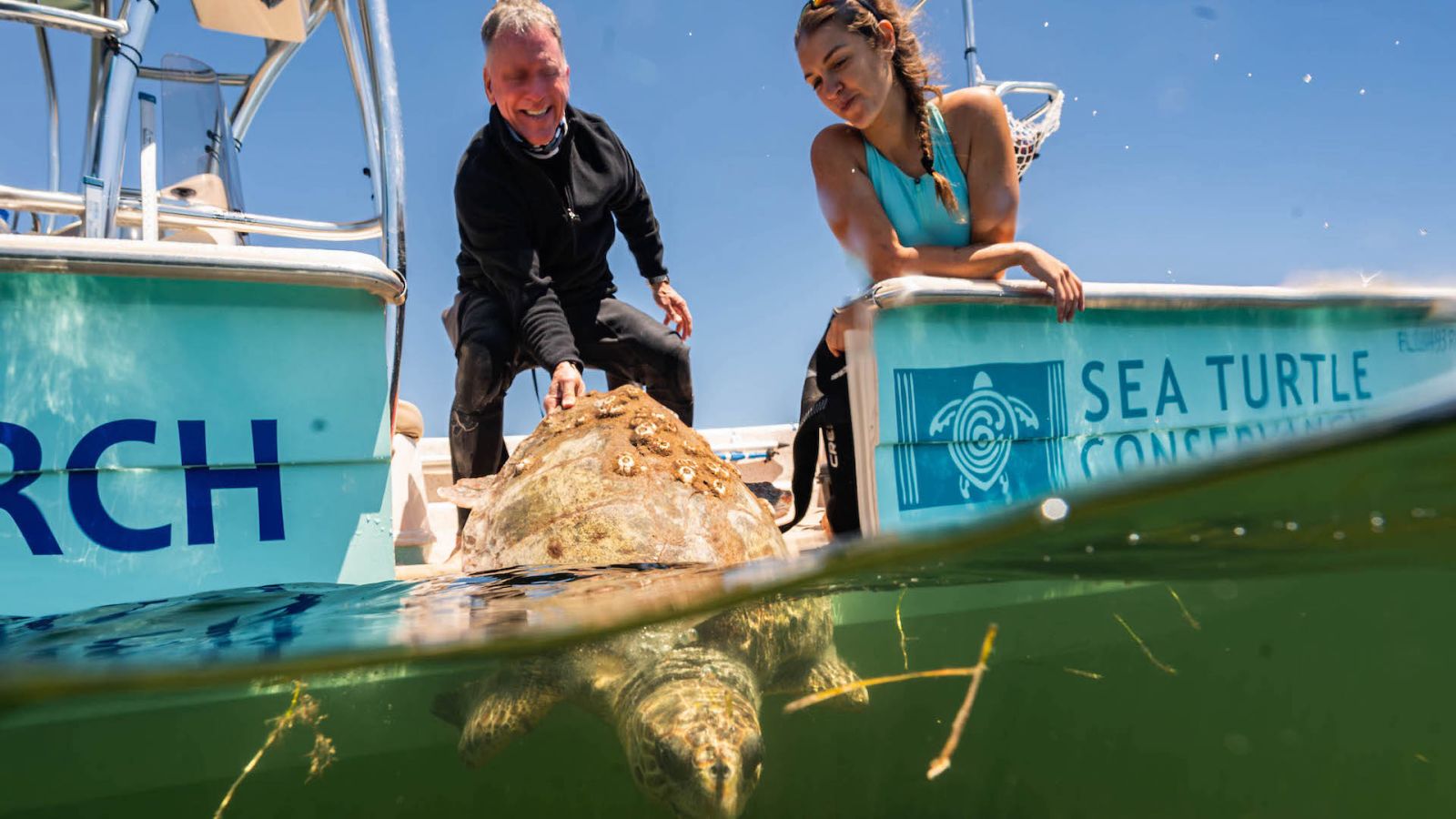 Adopt-A-Turtle - Sea Turtle Conservancy