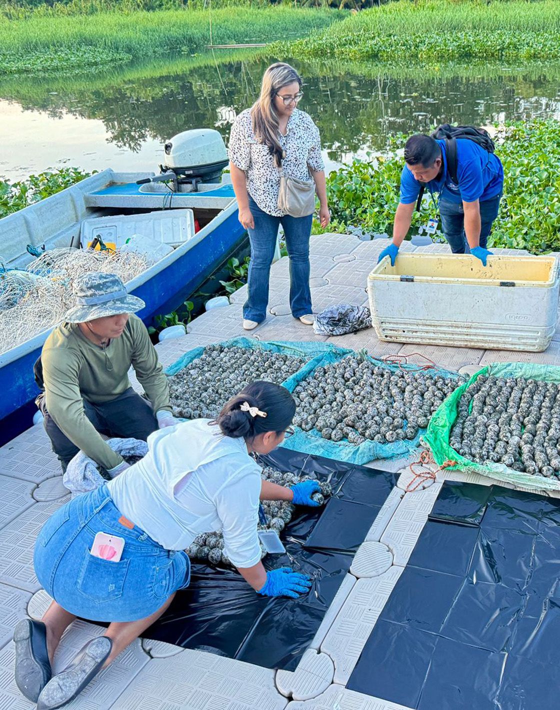 turtle meat benefits